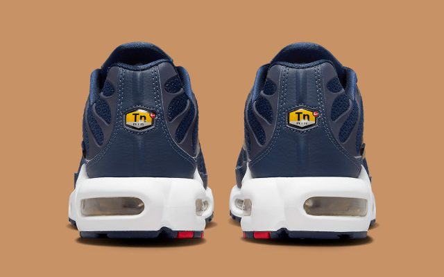 Nike Air Max Plus ‘’FFF’’ | Equipe de France de football 2022 | Sneaker ...