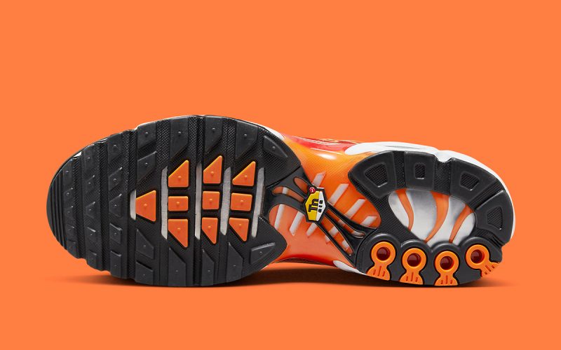 Nike Air Max Plus ‘’Light Photography’’ - DZ3531-600 | Sneaker Style